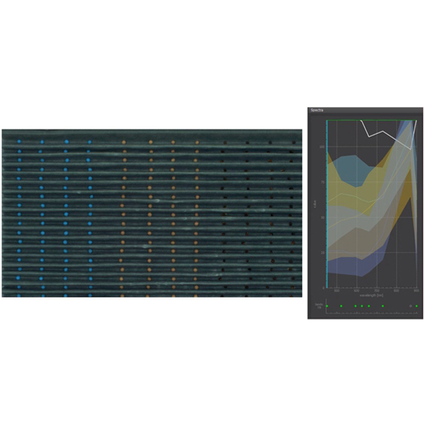 Seed – Seed Automation