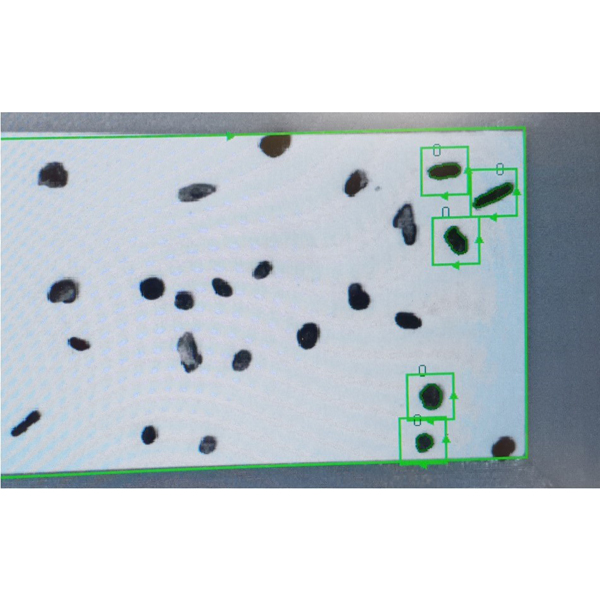 Seed – Seed Automation